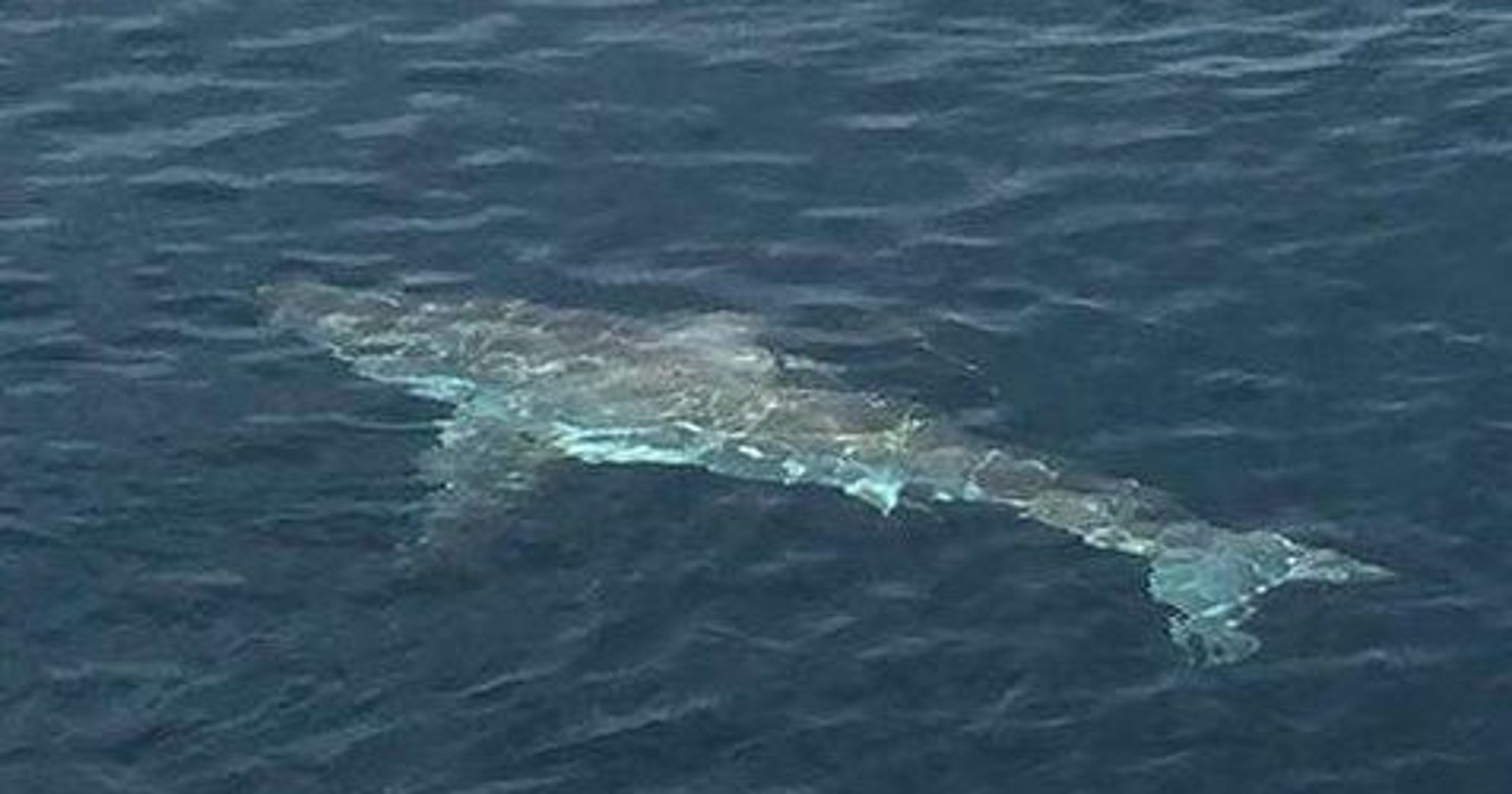 Great White Shark Spotted Off Stuart Coast